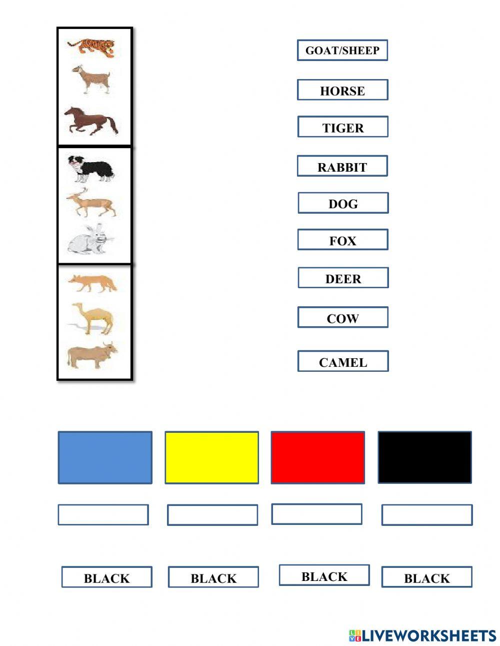 Match and Pair 2 worksheet | Live Worksheets