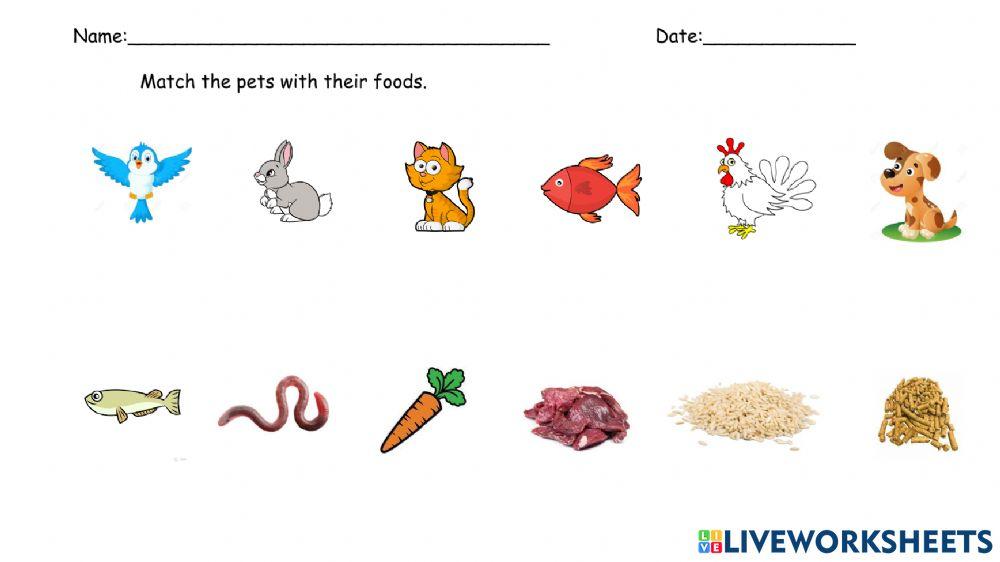 Food of pets worksheet | Live Worksheets