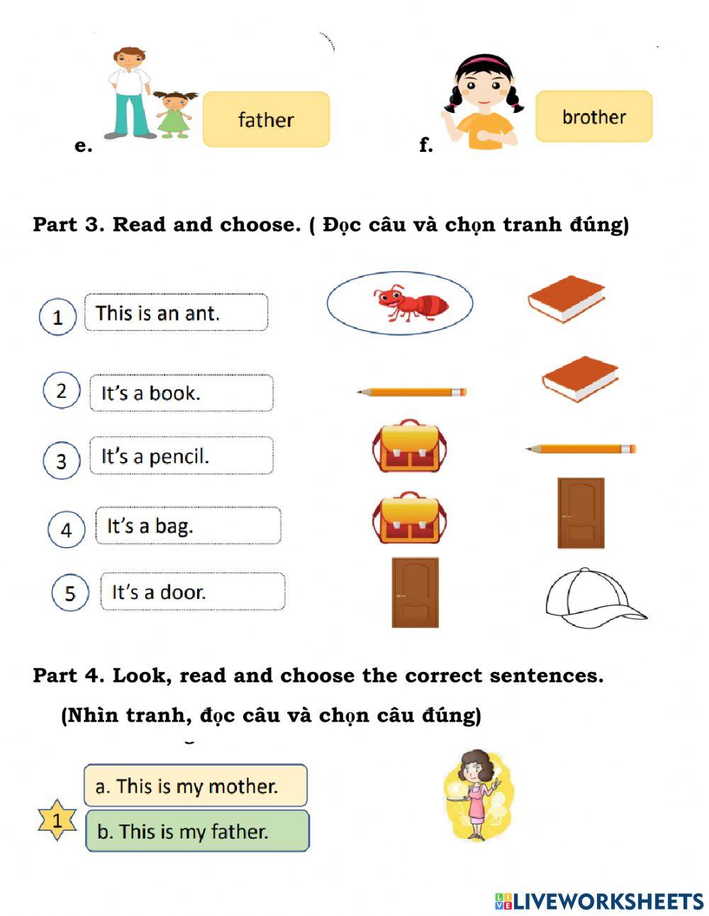 English 1 online pdf worksheet | Live Worksheets