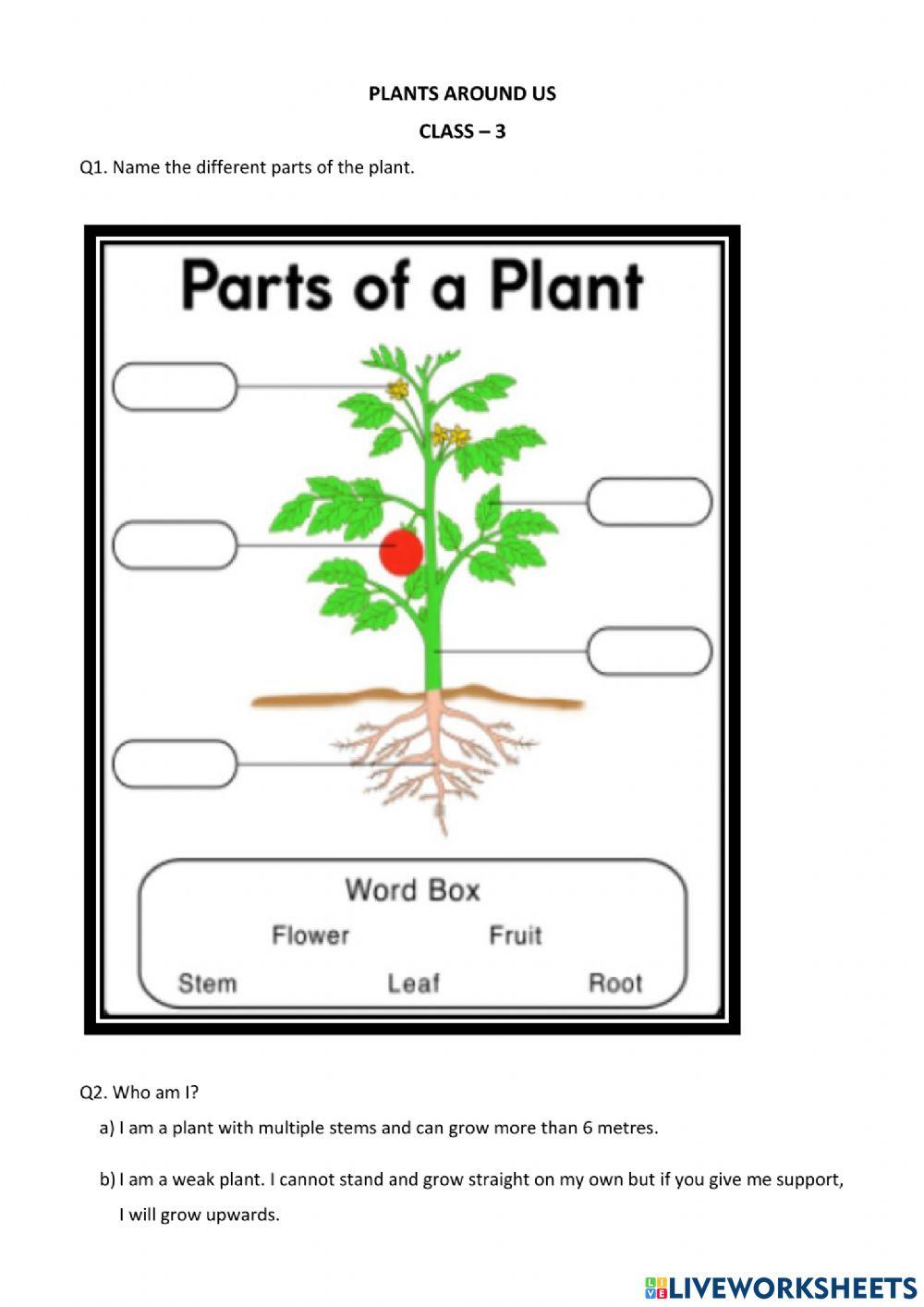 plants around us class 3 online exercise for | Live Worksheets