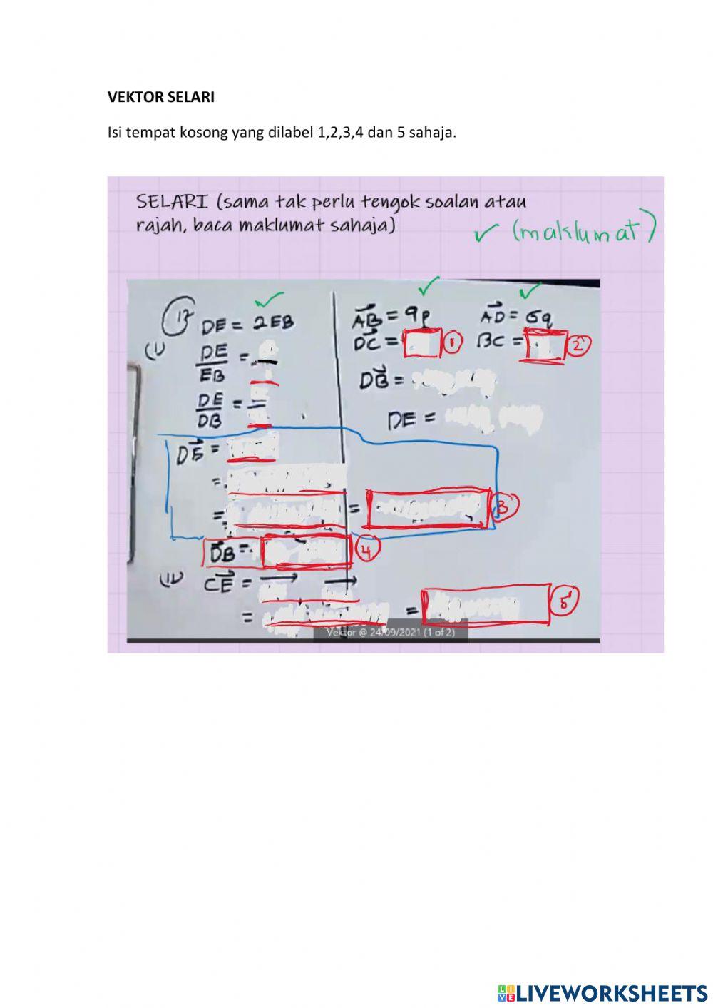 Vektor Selari worksheet | Live Worksheets