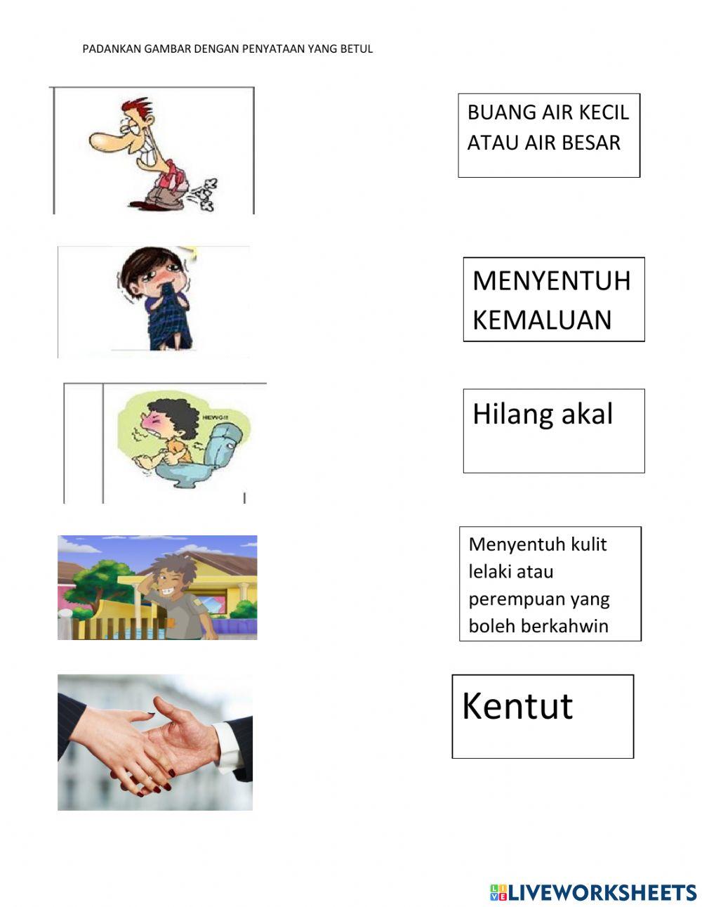 Jenis-jenis hadas worksheet | Live Worksheets