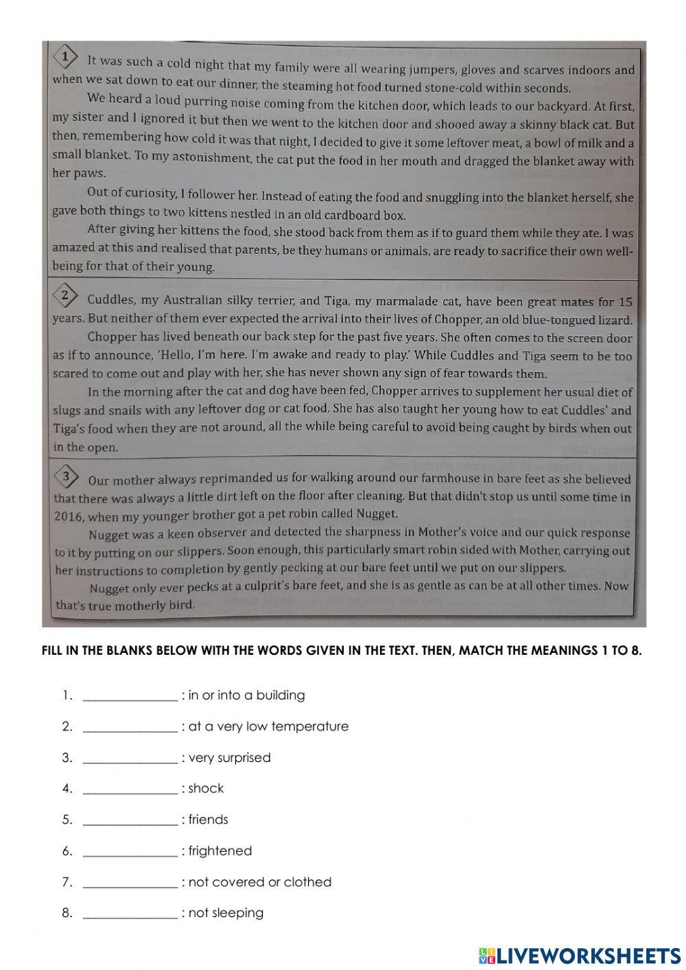 3 Short Stories worksheet | Live Worksheets