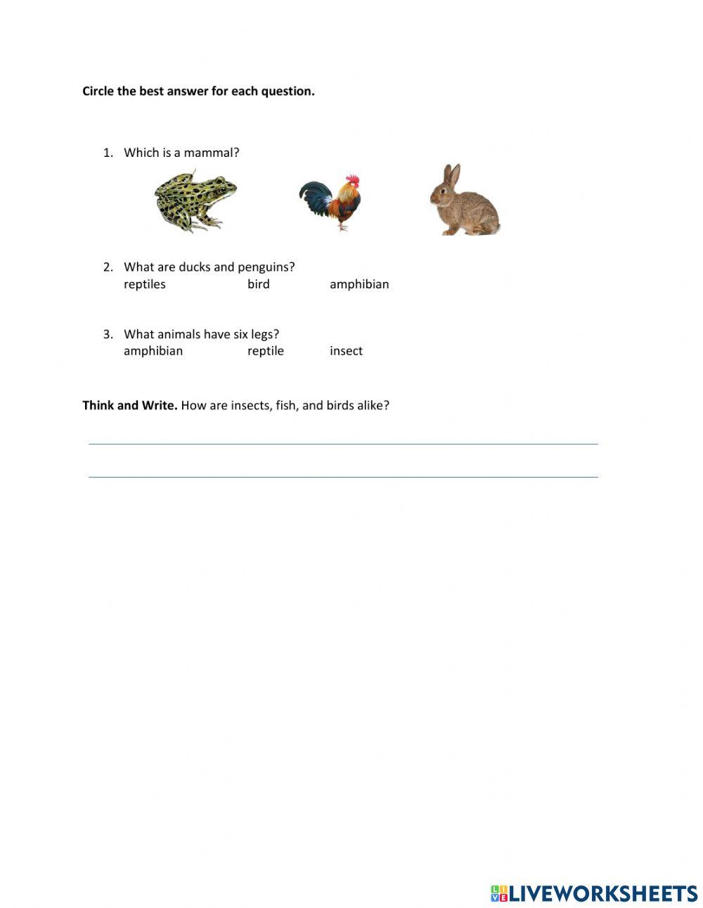 Unit 4 lesson 1: all kinds of animals worksheet | Live Worksheets