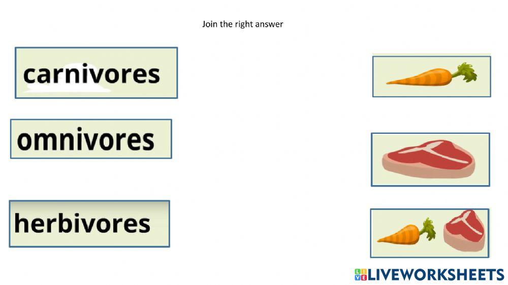 Brain and food chain online exercise for | Live Worksheets
