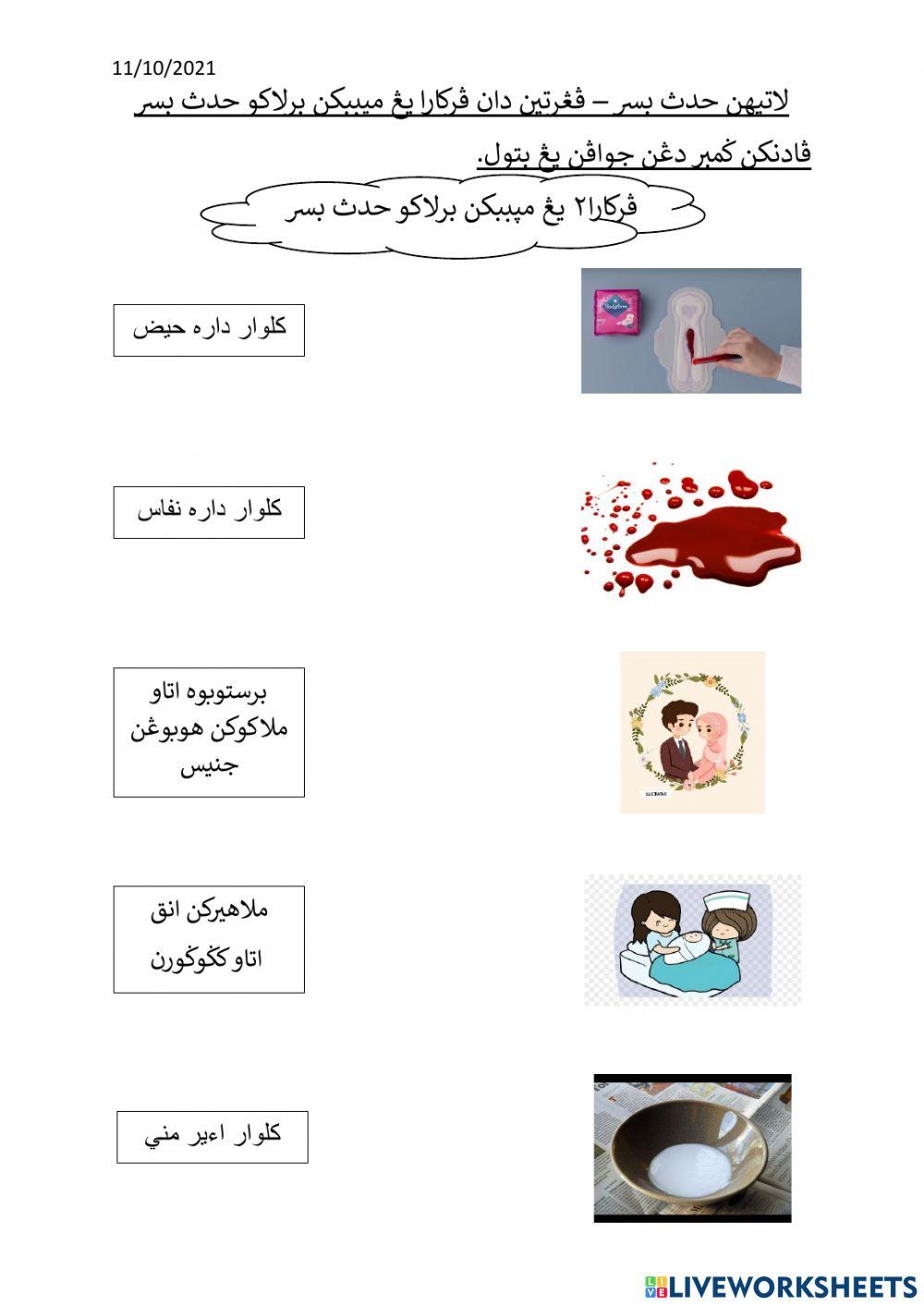 1510407 | Perkara yang menyebabkan hadas besar