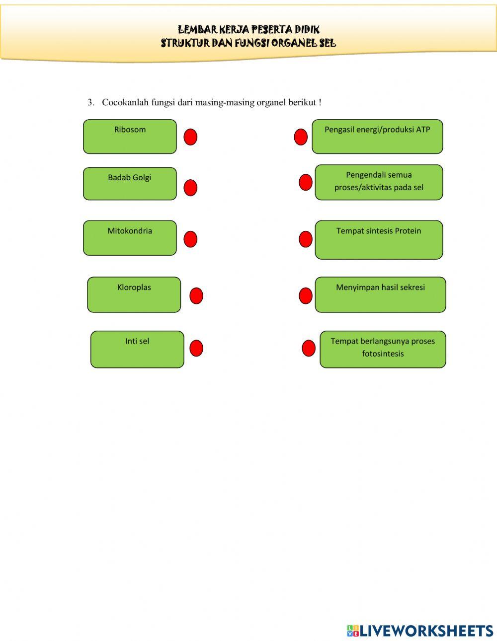 srirejekilestioriny | Sel 1511072 | LiveWorksheets