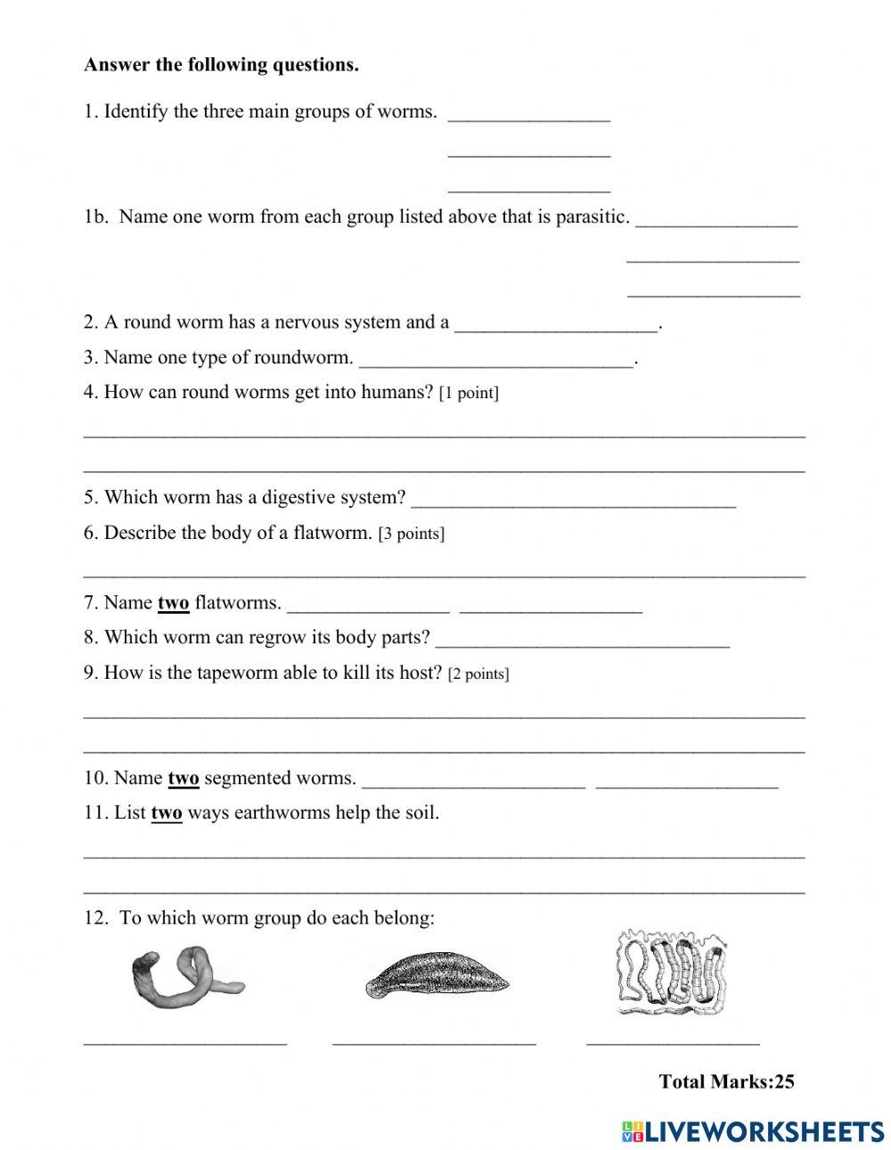 Worms Content and Questions online exercise for | Live Worksheets