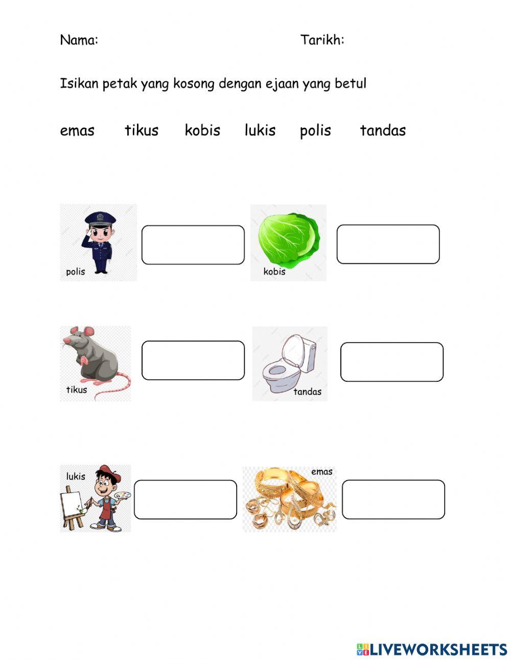 Akhiran 's' worksheet | Live Worksheets