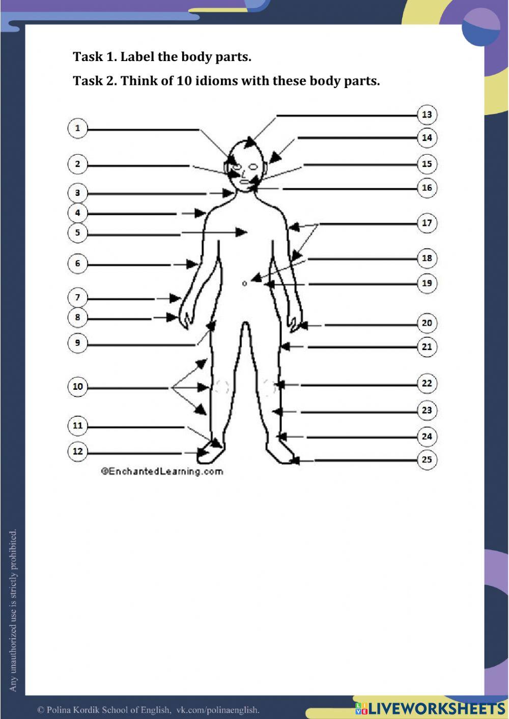 Week 5 Expert Body parts 1513121 | juliestolyarchuk