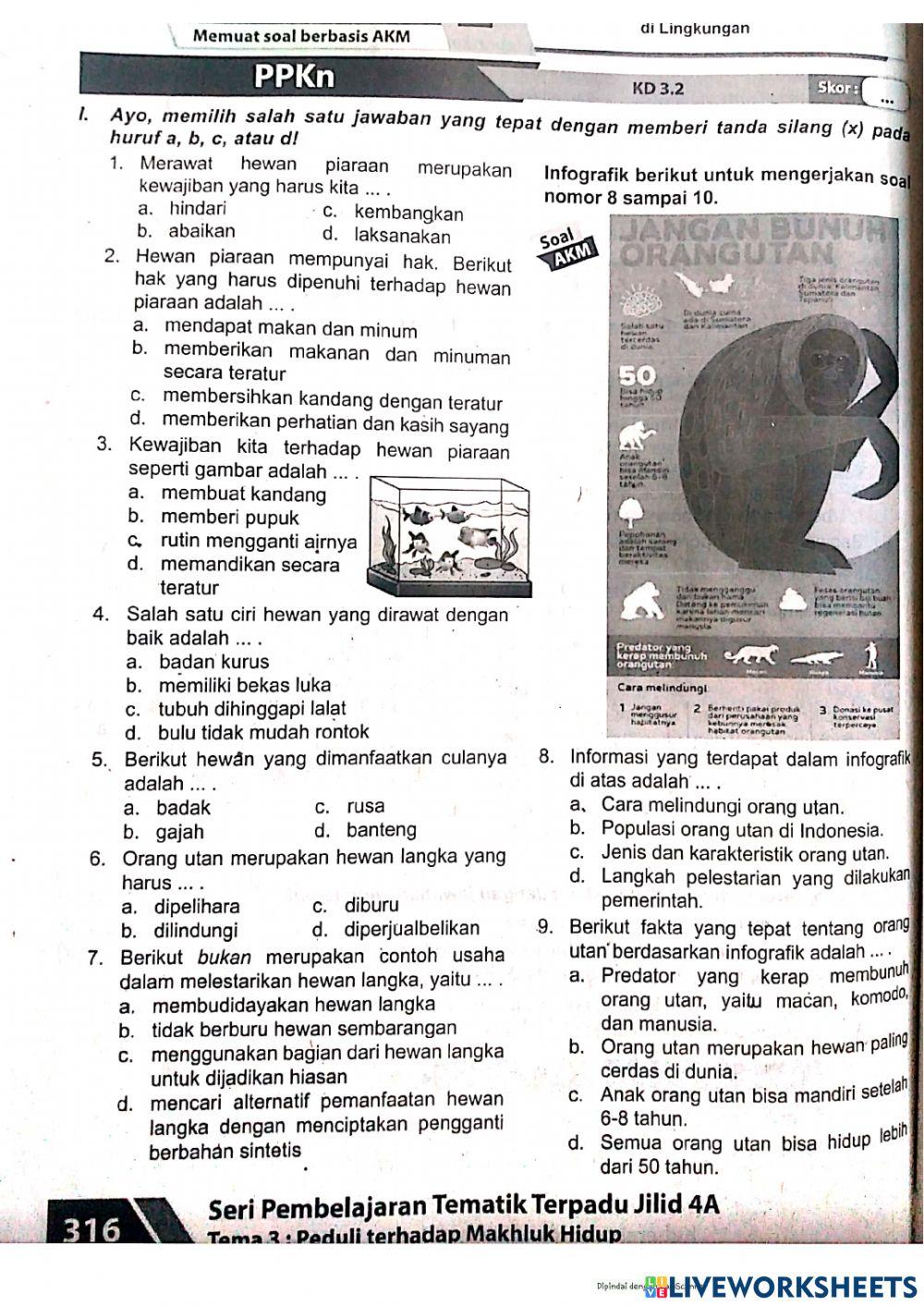 Pkn interactive worksheet for 4 | Live Worksheets