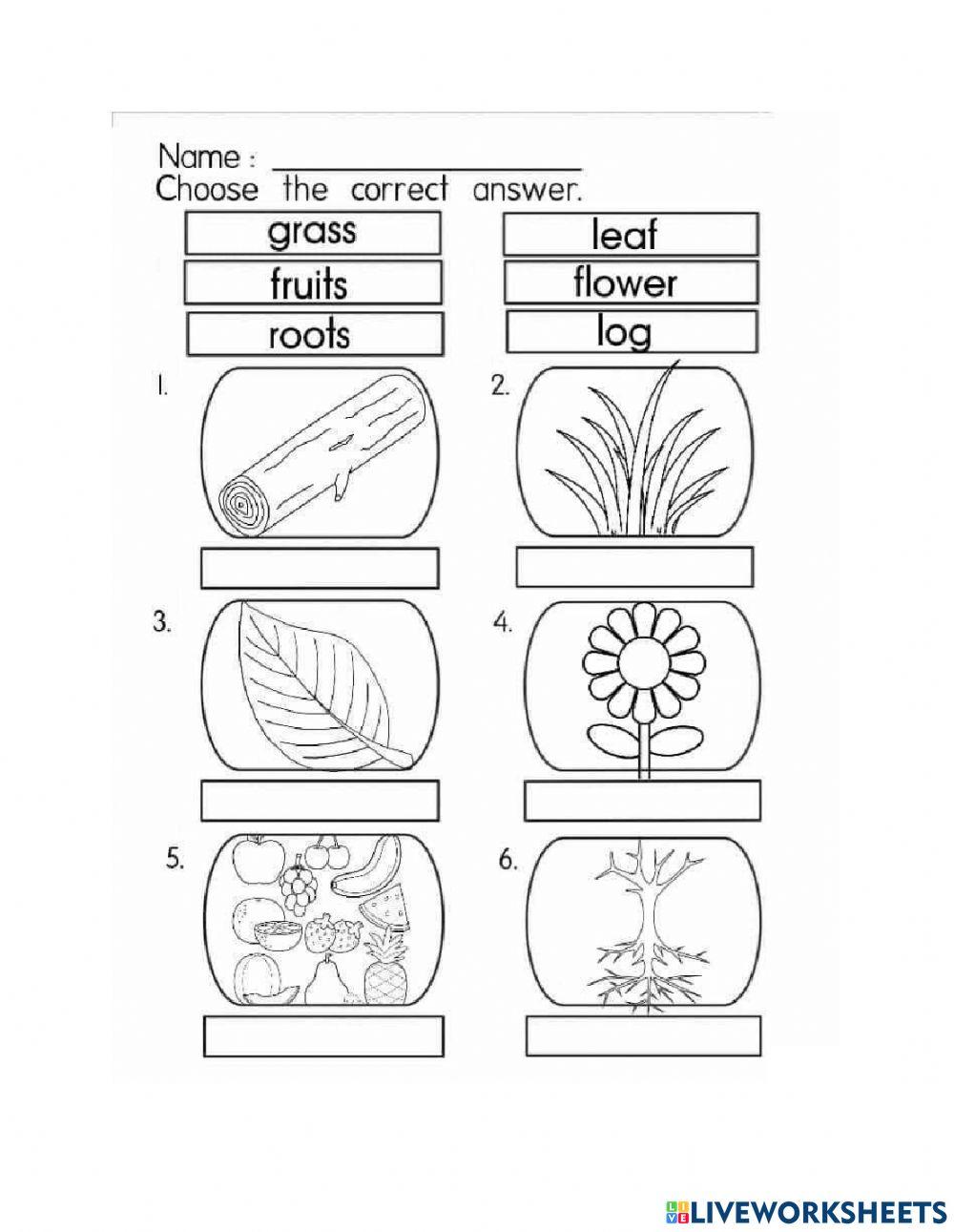 English - Pra Permata online exercise for | Live Worksheets