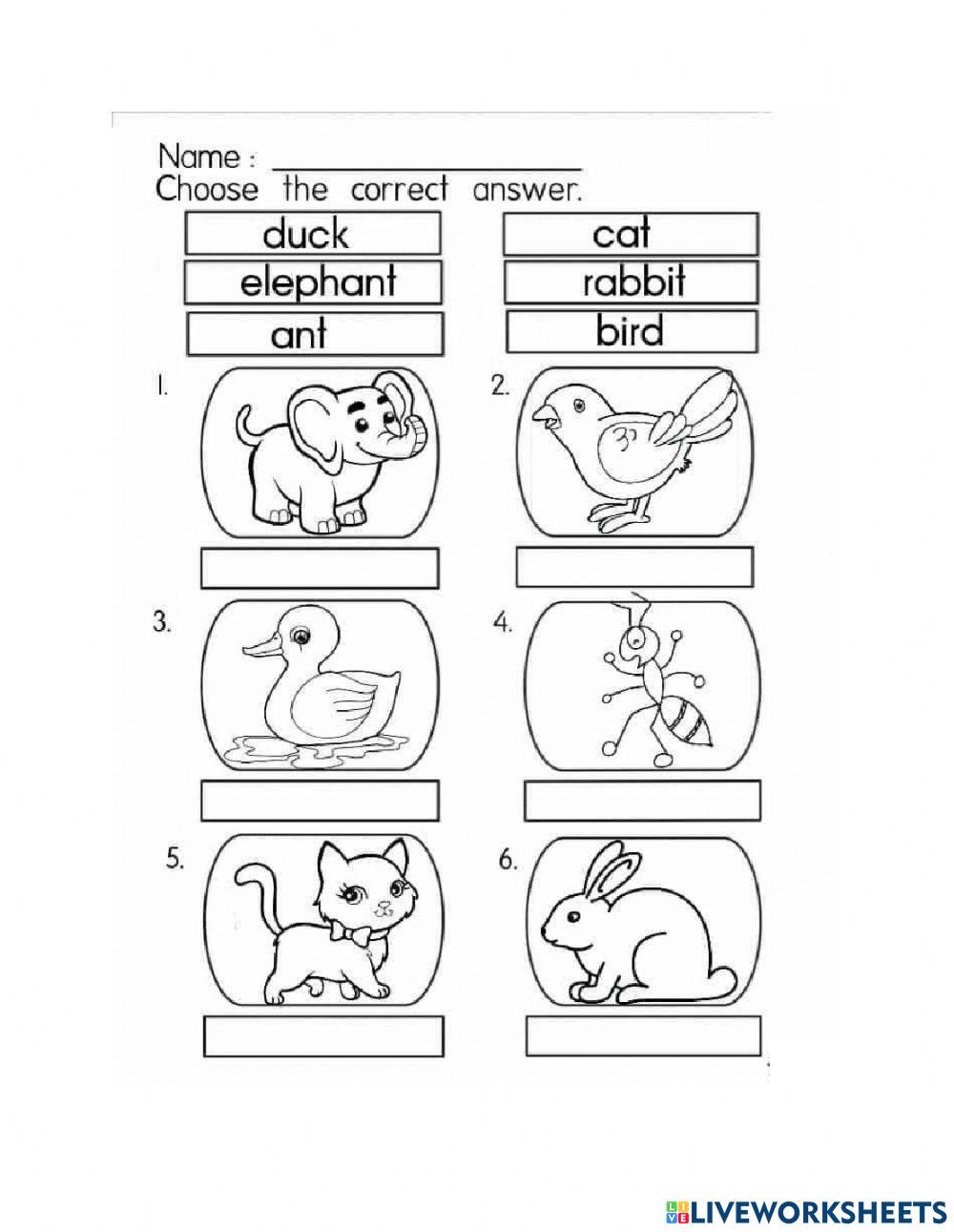 English - Pra Permata online exercise for | Live Worksheets