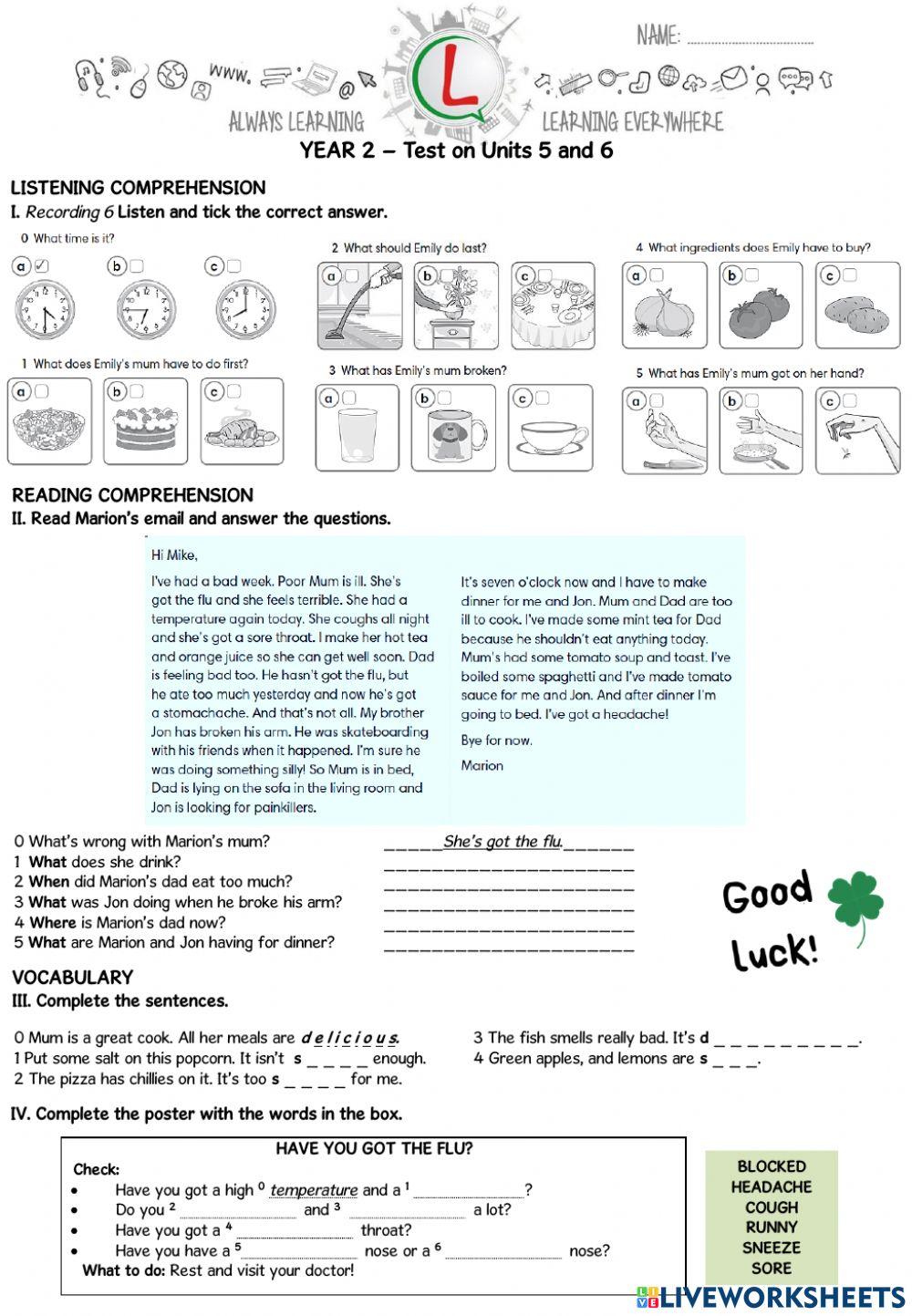 Year 2 - Test on Units 5 and 6 1514255 | carlelian | Live