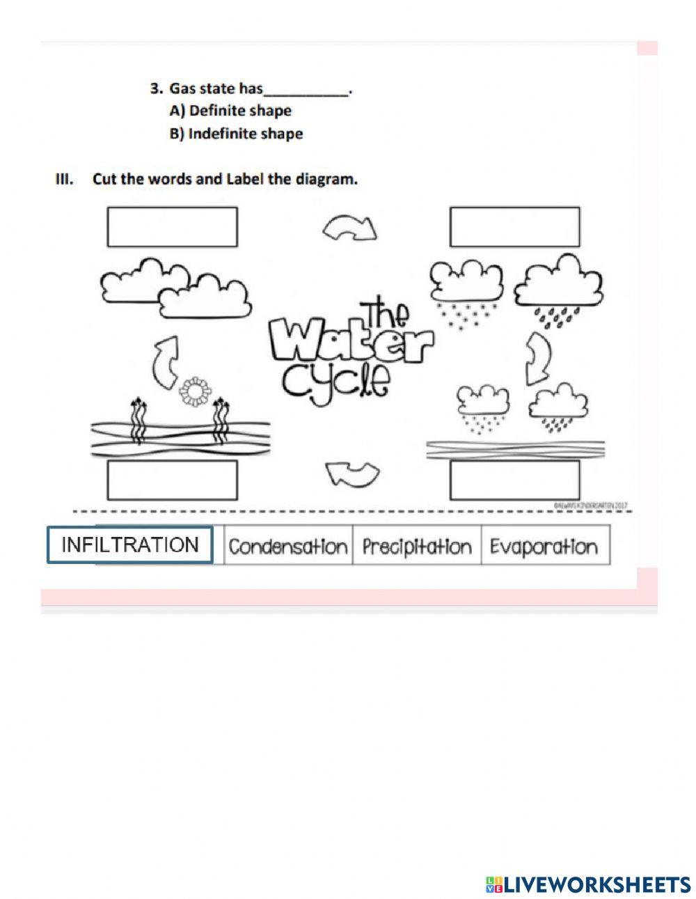 Science segundo worksheet | Live Worksheets