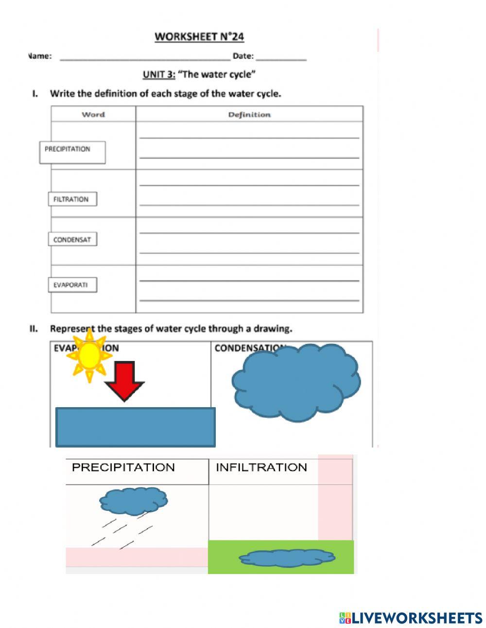 Science segundo worksheet | Live Worksheets