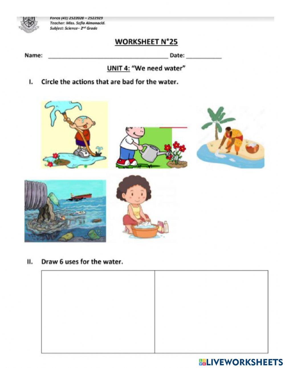 Science segundo worksheet | Live Worksheets