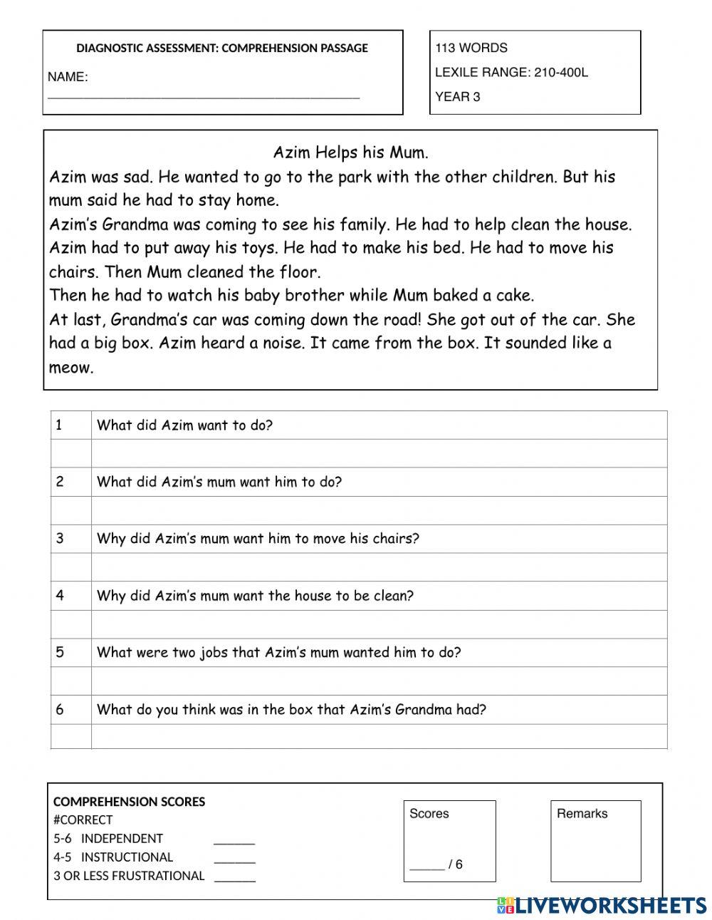 Year 3 comprehension diagnostic test 4136728