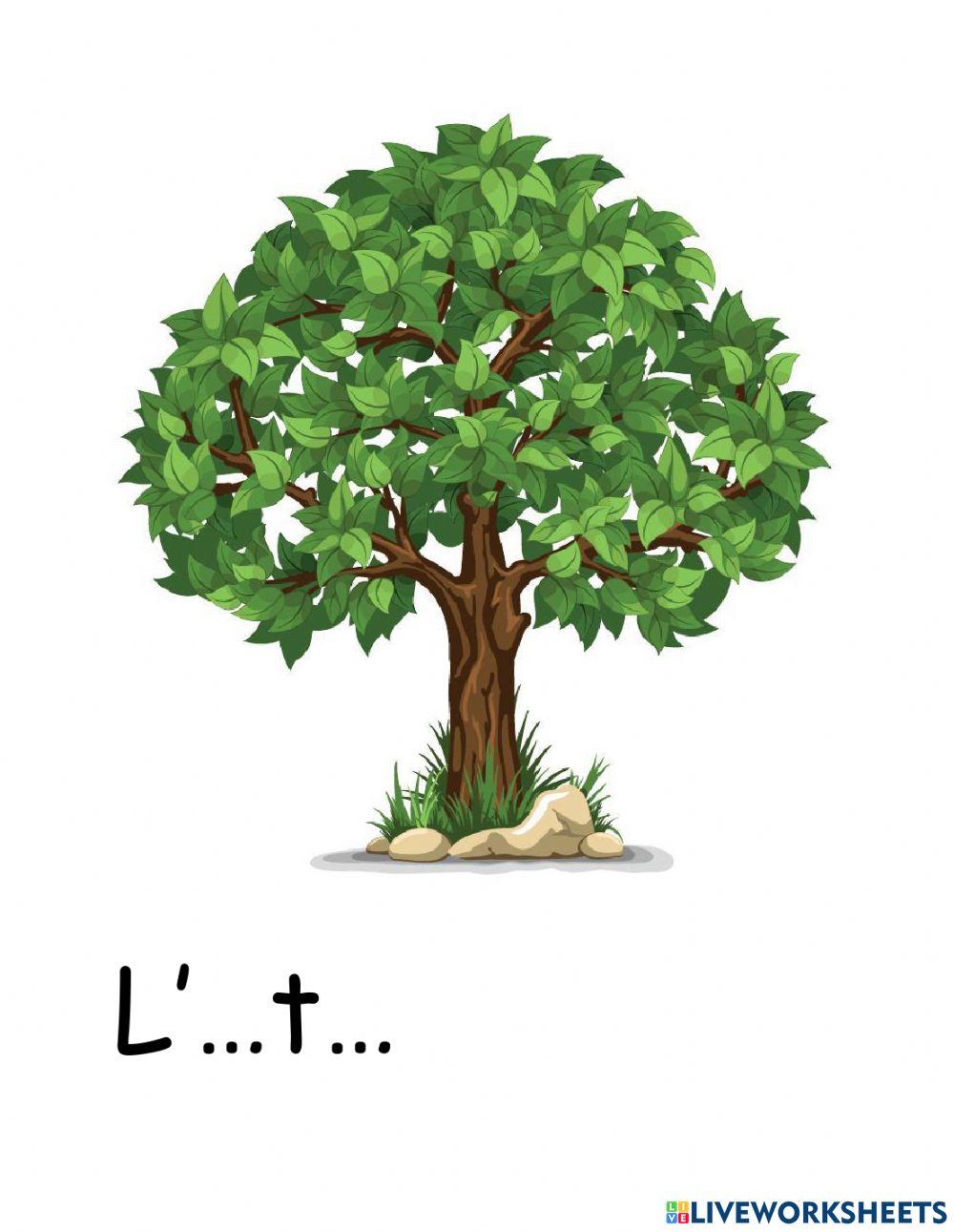 Les saisons | Free Interactive Worksheets | 1515539