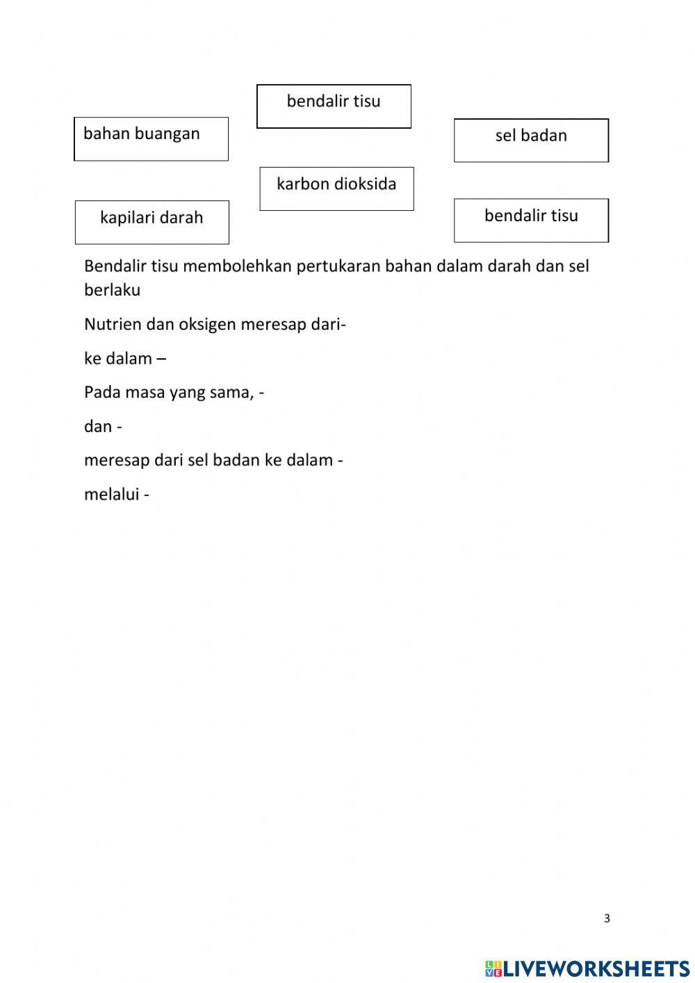 Sistem limfa bi… | Free Interactive Worksheets | 1515637