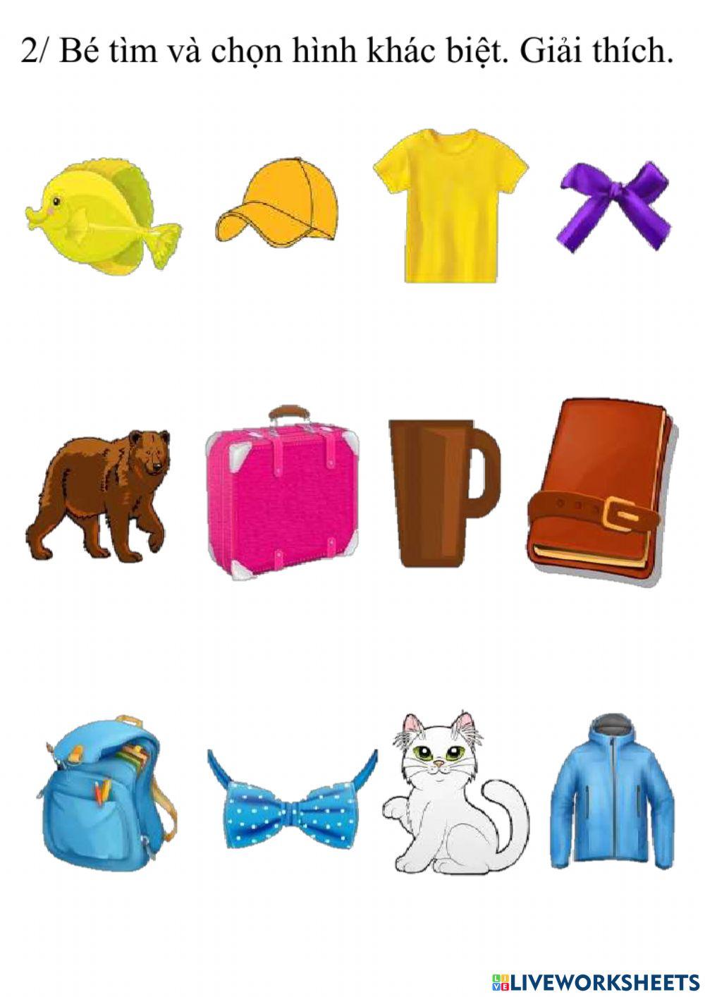 Classification online pdf exercise for Preschool | Live Worksheets