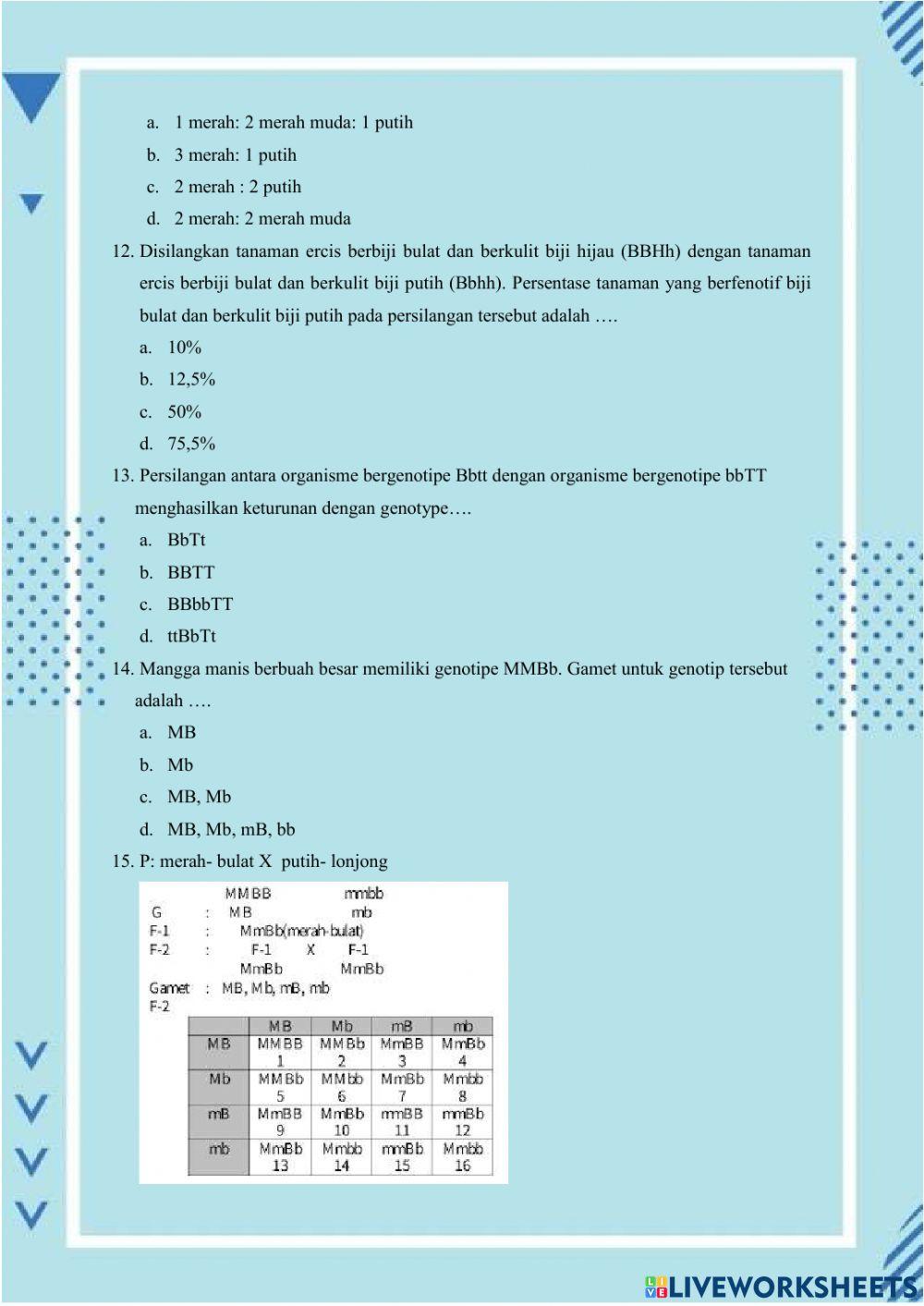 Pre Test Ipa Kelas Ix Worksheet Live Worksheets
