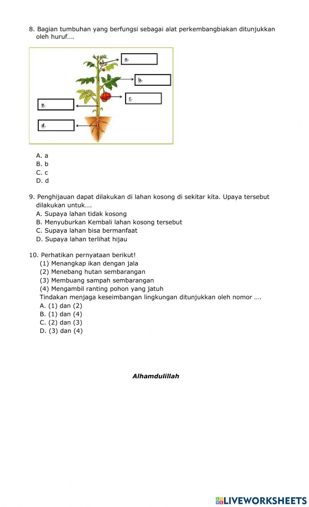 IPA Tema 3 worksheet | Live Worksheets