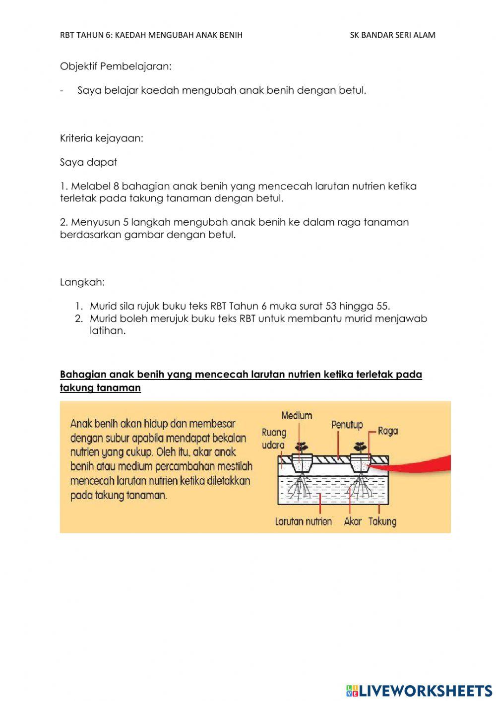 Rbt tahun 6: kaedah mengubah anak benih worksheet | Live Worksheets