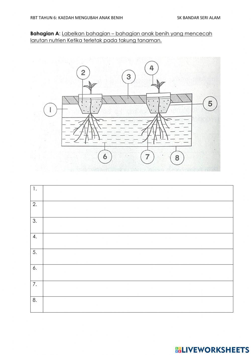 Rbt tahun 6: kaedah mengubah anak benih worksheet | Live Worksheets