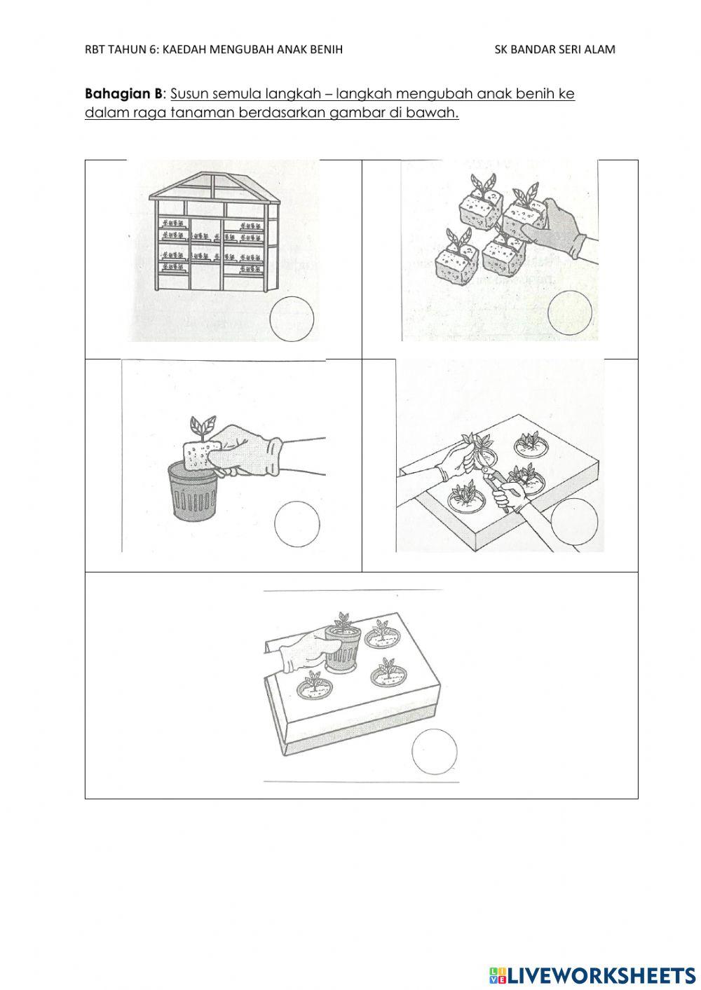 Rbt tahun 6: kaedah mengubah anak benih worksheet | Live Worksheets