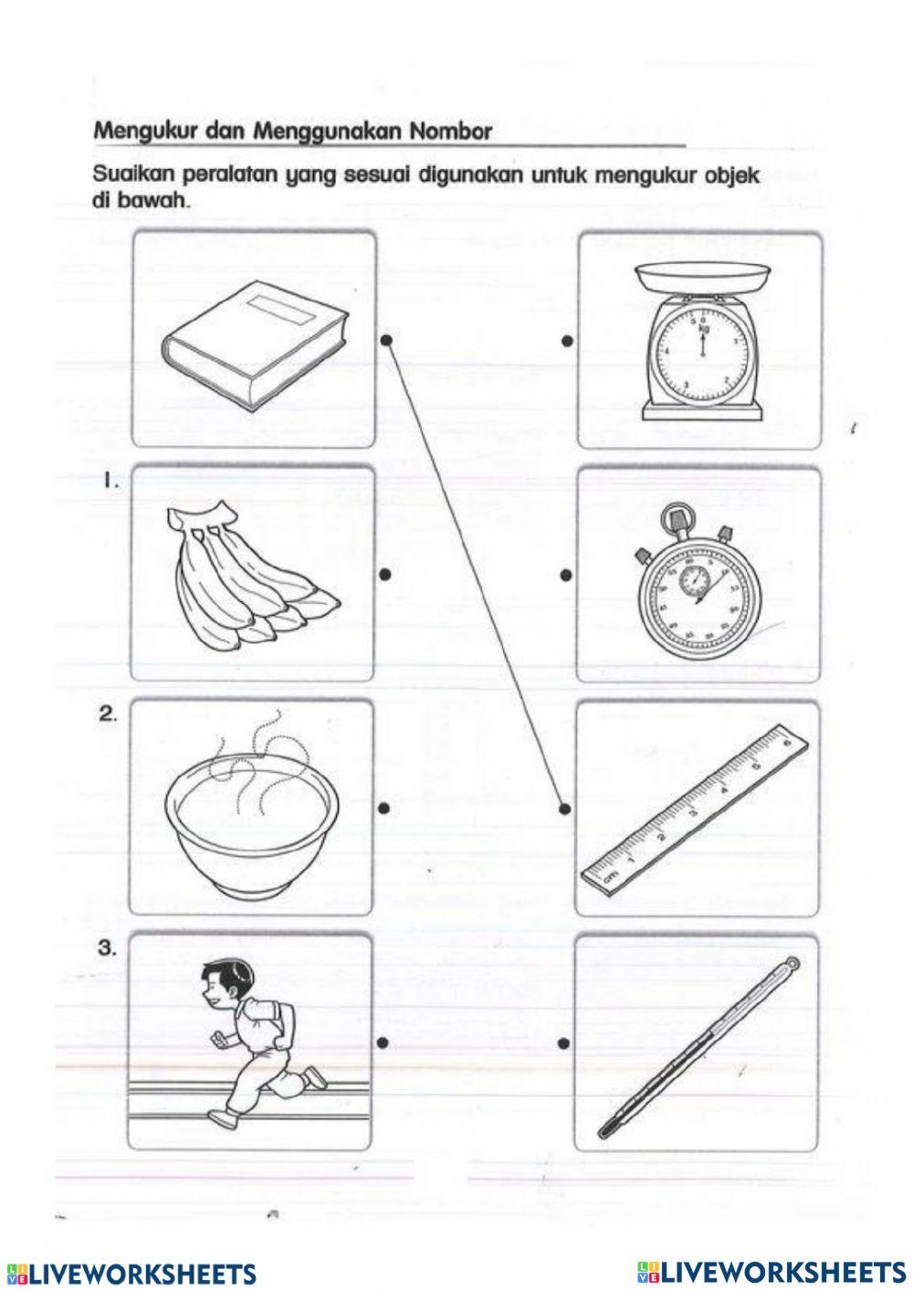 Memerhati, Mengels & Mengukur dan Menggunakan Nombor