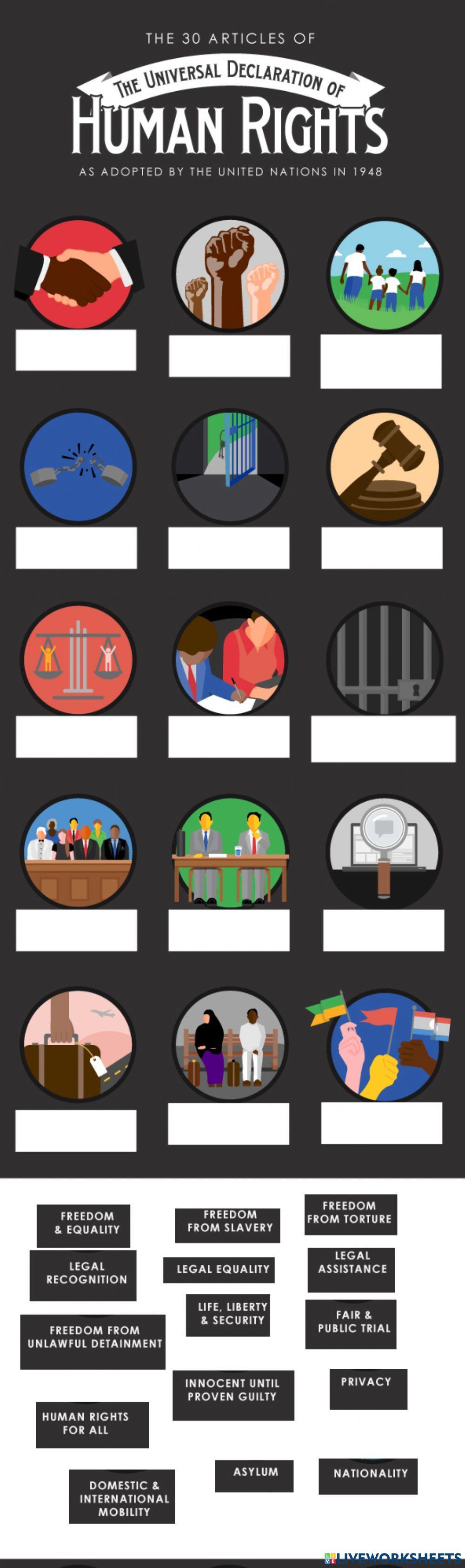 Human rights Law exercise | Live Worksheets