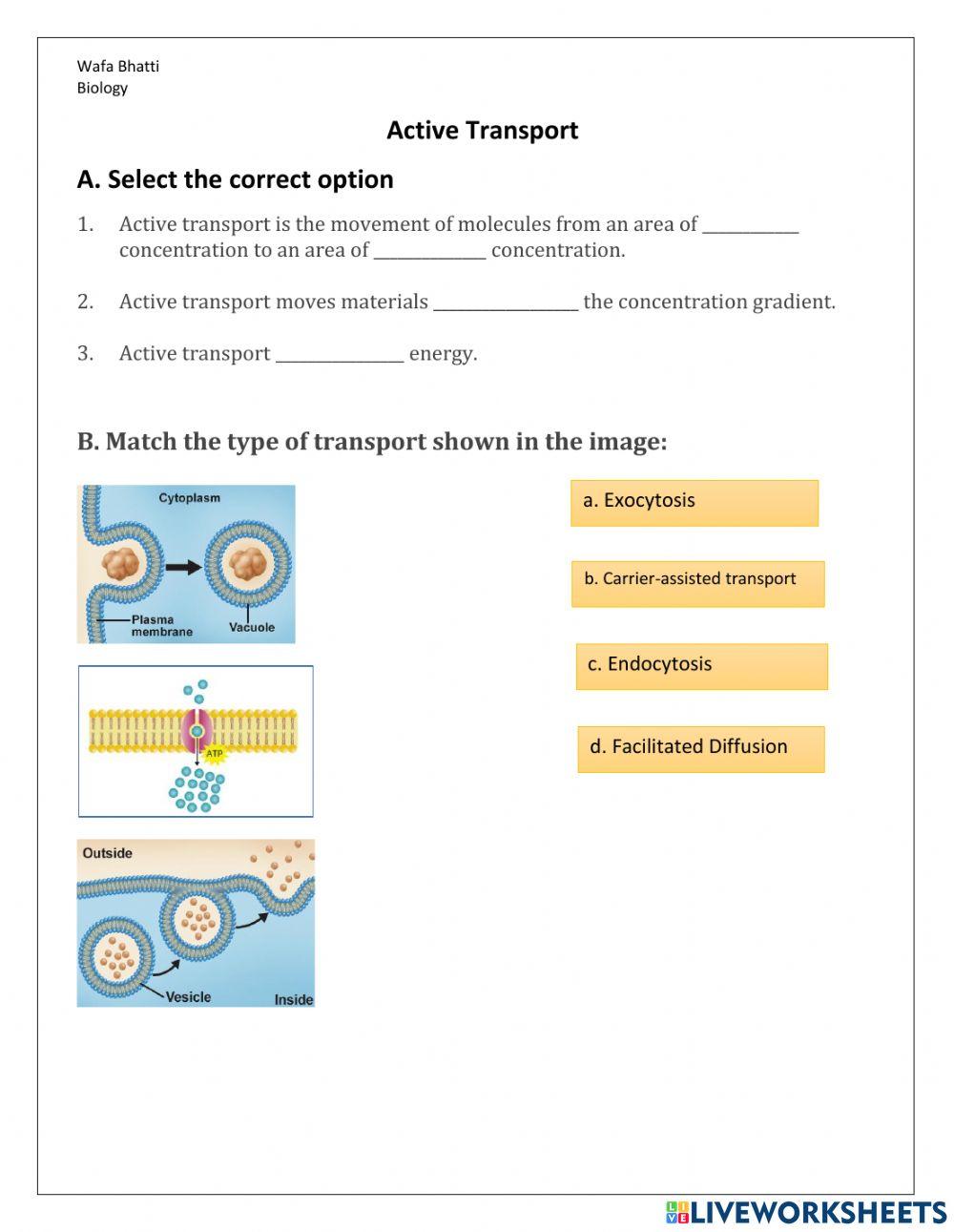 Active transport | Free Interactive Worksheets | 1518185