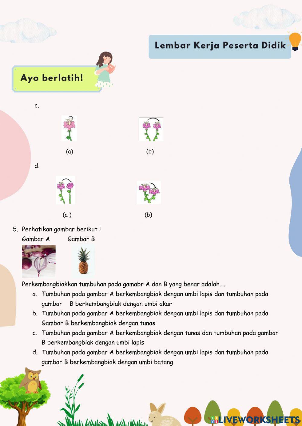 Lkpd ipa tema 1 subtema 3 kelas 6 1518633 | Mutiara An