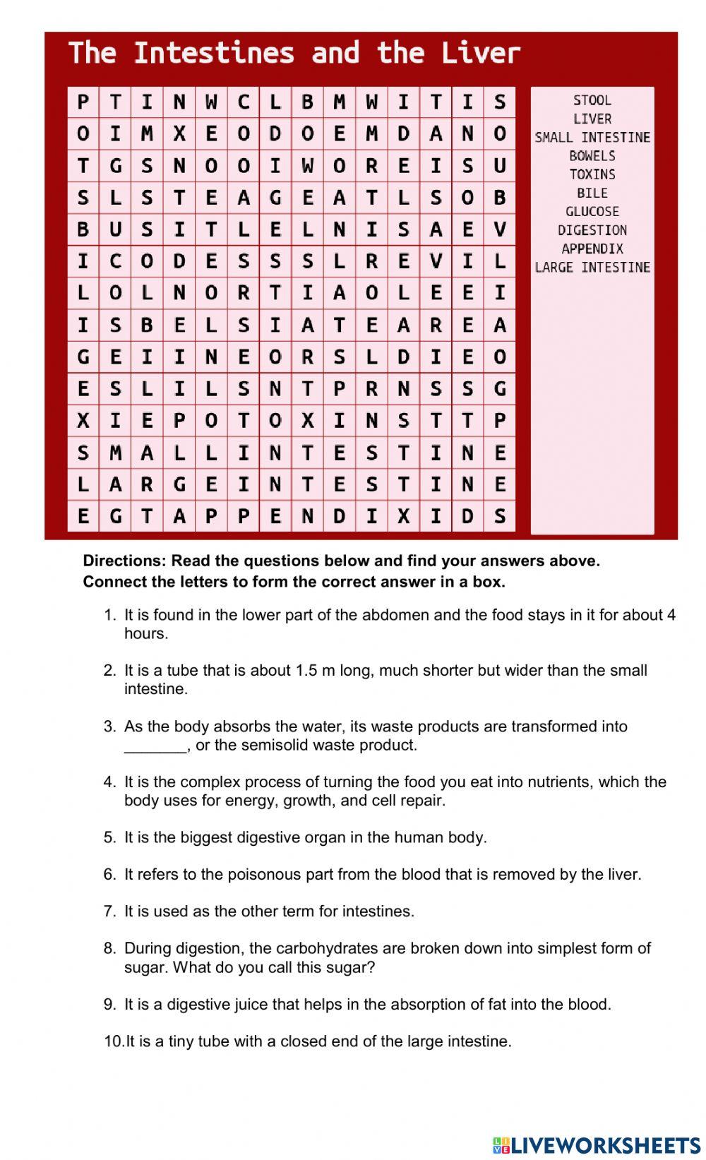 The Intestines and the Liver | iamchil19 | Live
