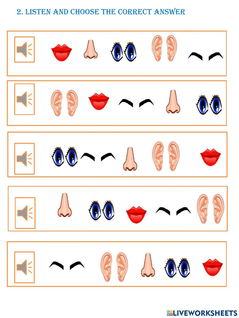 1519167 | Upper Parts of the body | teacherNeris