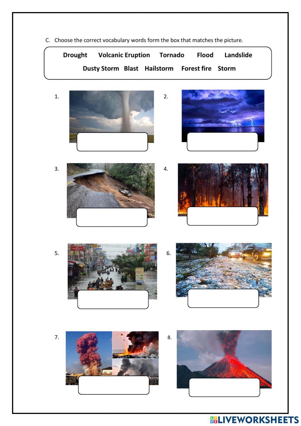 M3 Final Exam worksheet | Live Worksheets