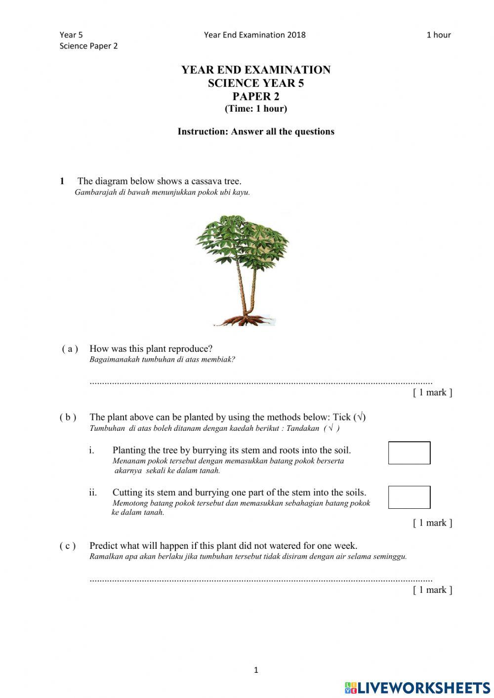 Y5 Exam - DLP | Free Interactive Worksheets | 1520185
