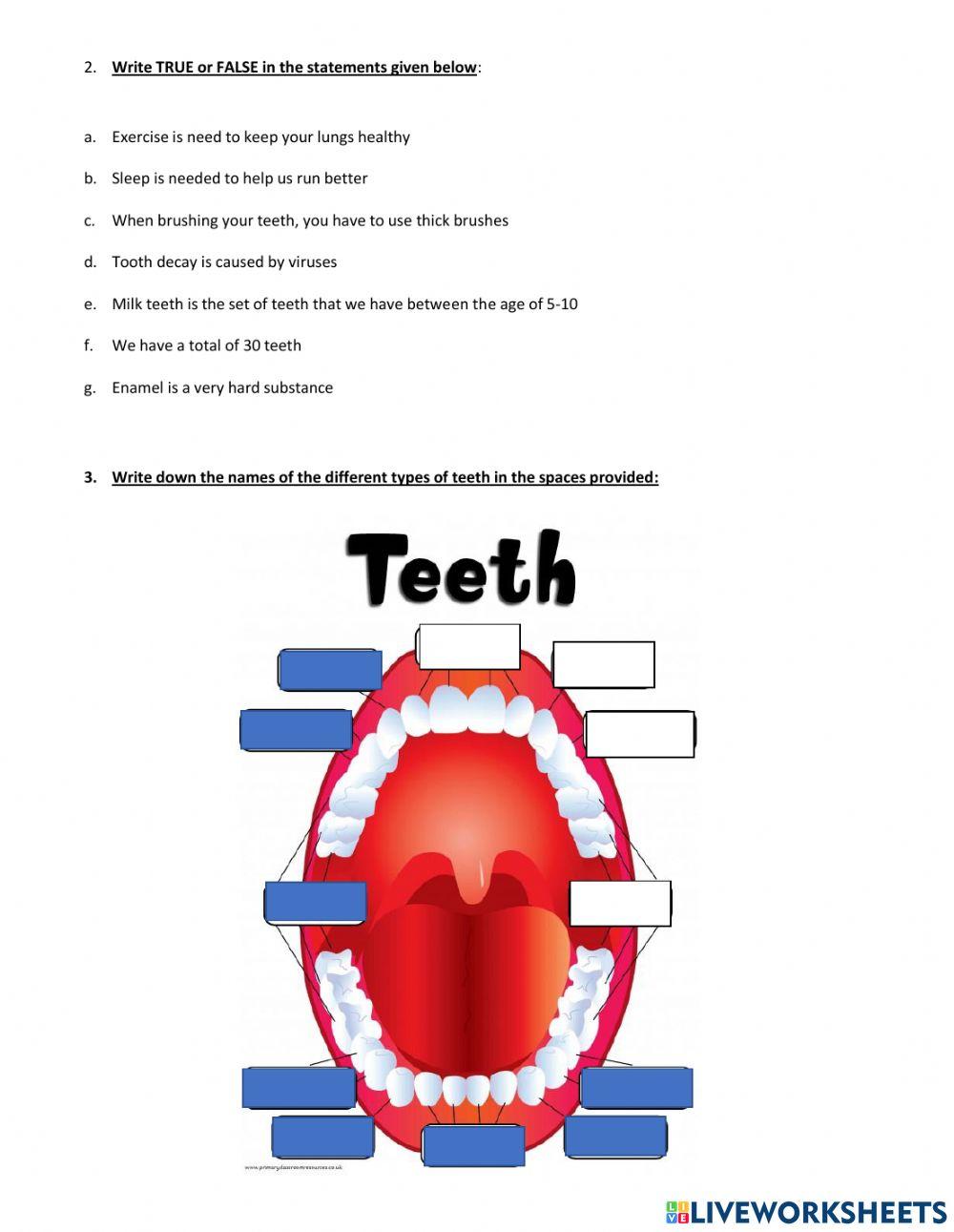 Caring for your… | Free Interactive Worksheets | 1520801
