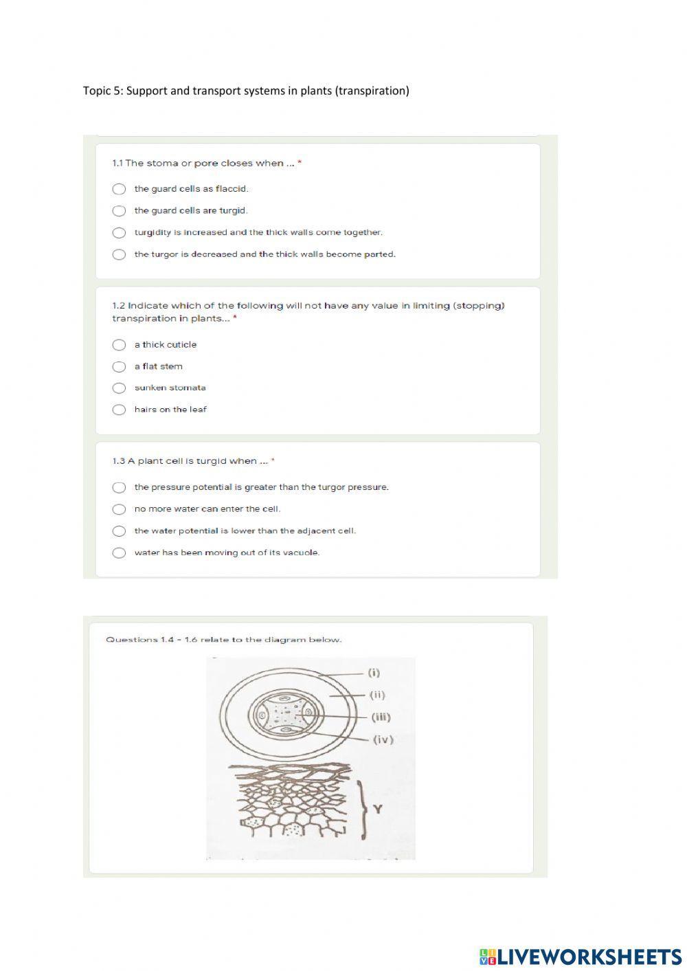 Topic 5: Suppor… | Free Interactive Worksheets | 1525093