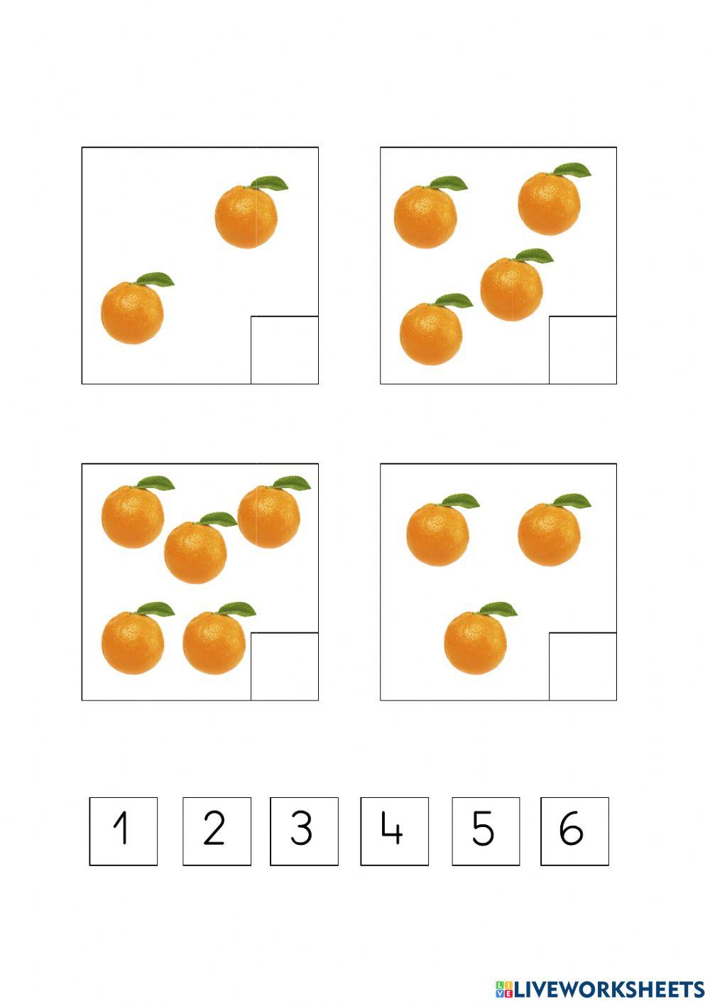Kantitateak worksheet | Live Worksheets