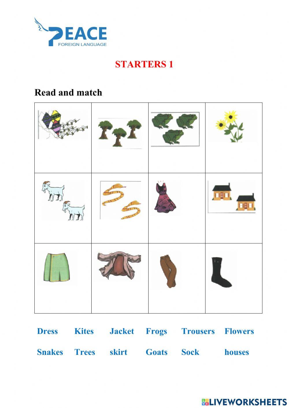 Starters 1 1524474 | Vo Xuan Ga | LiveWorksheets