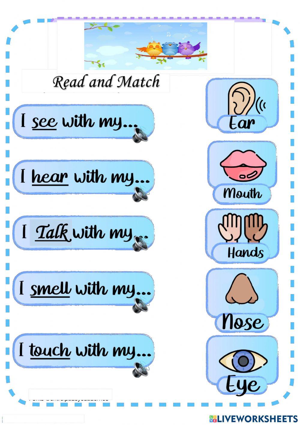 Body1 exercise | Live Worksheets