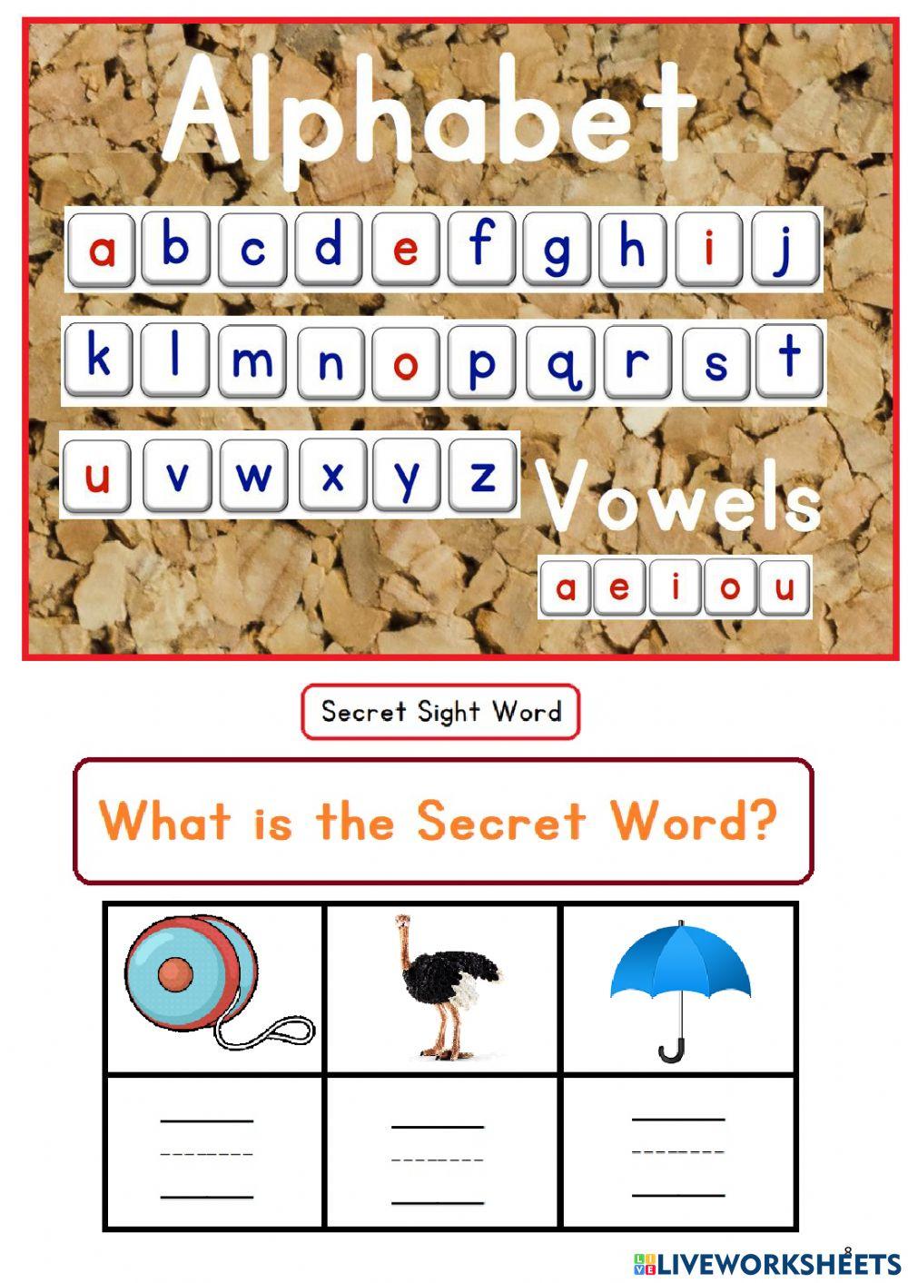2-secret word online exercise for | Live Worksheets