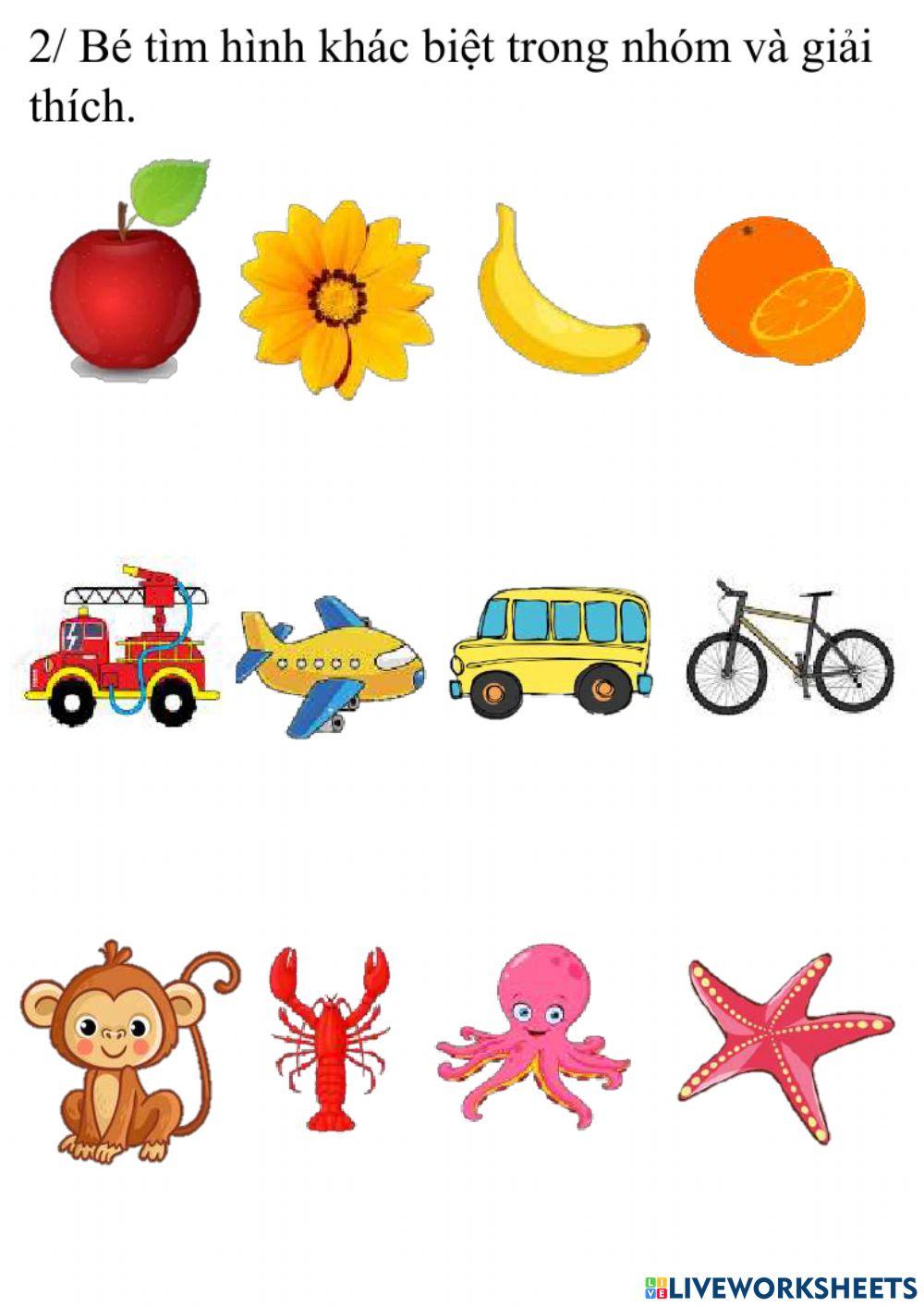 Classification online worksheet for preschool | Live Worksheets