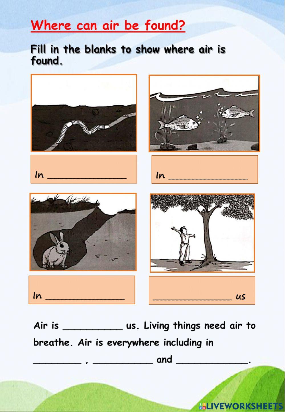 SCIENCE YEAR 2 SK TEBAKANG-AIR online exercise for | Live Worksheets