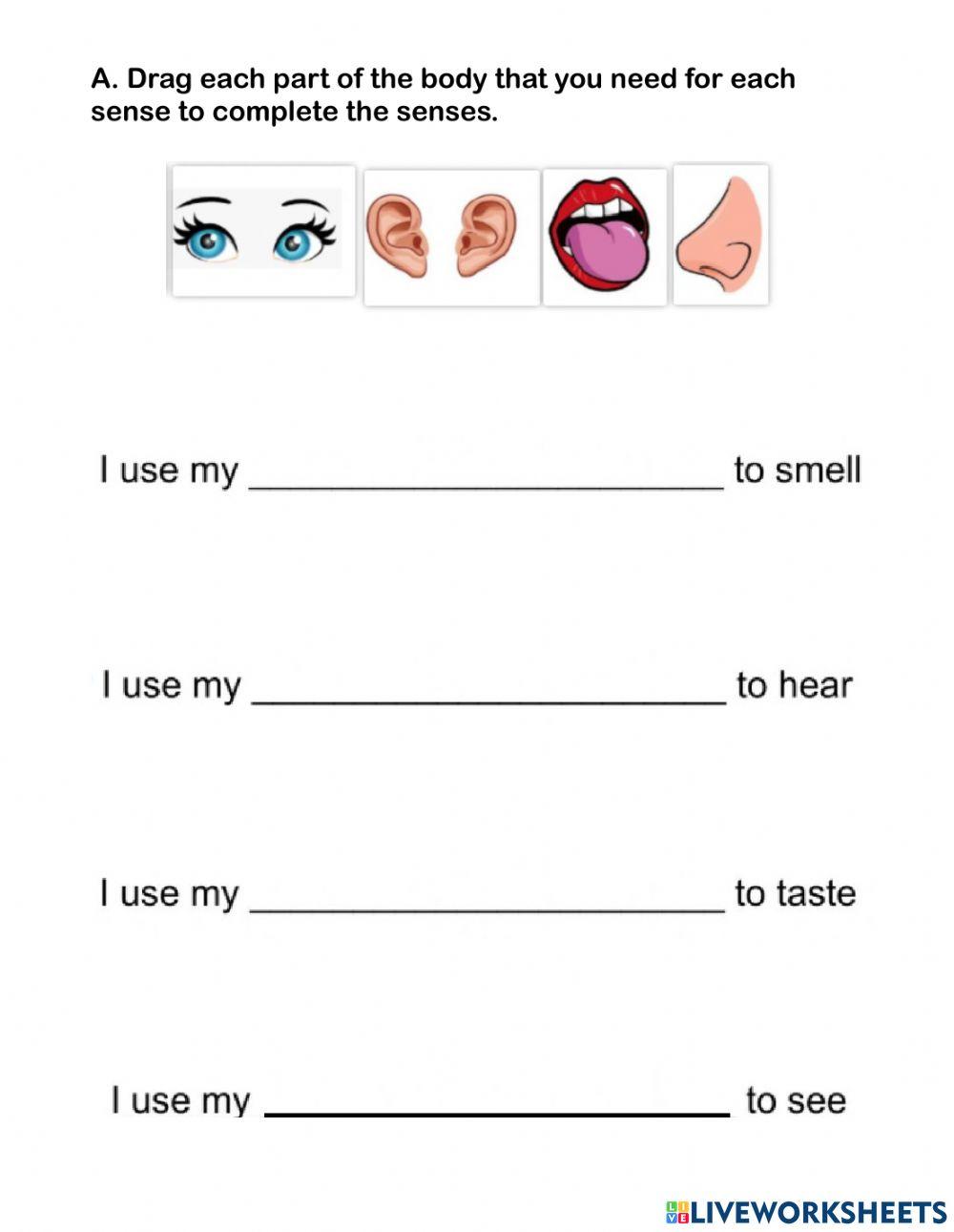 KINDY 2B UNIT 6 SENSES 3445609 | Anonymous | Live