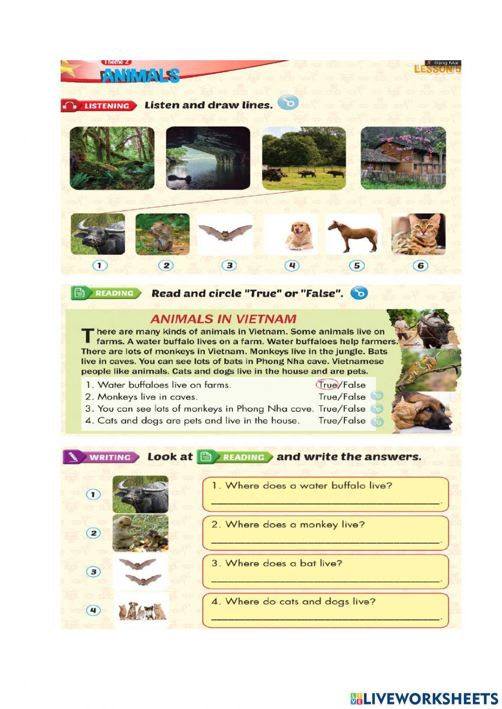 G5 Theme 2 L5 | Free Interactive Worksheets | 1532289