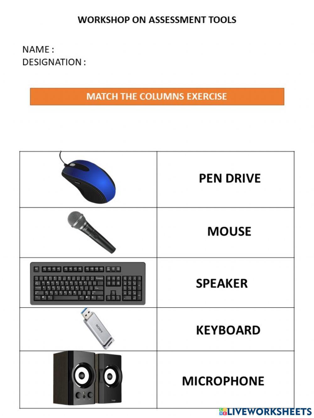 Computer worksheet interactive activity for 5 | Live Worksheets