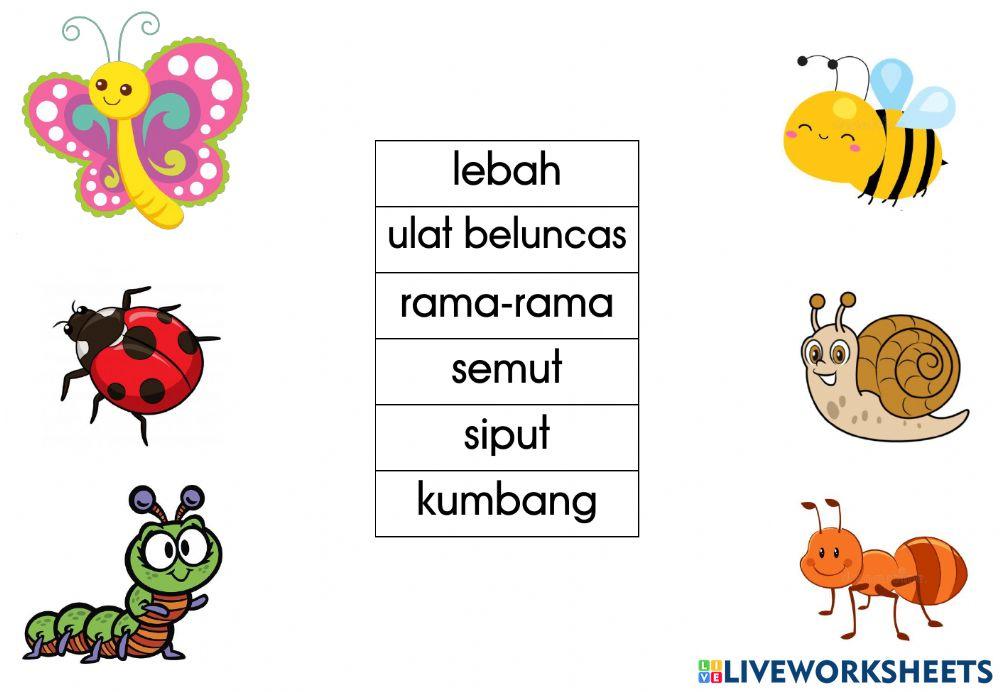 di taman bunga online exercise for | Live Worksheets